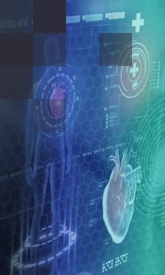 Tact Development Services & Solutions