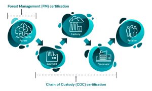 Blockchain Applications & Climate Change